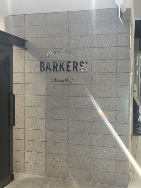 Polished Concrete Block Walls Wellington