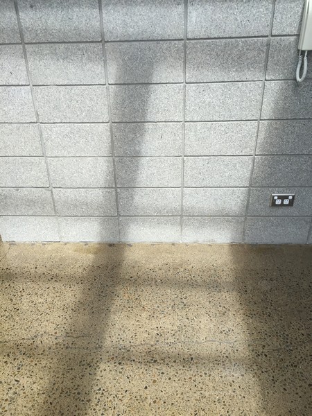 Polished Concrete Block Walls Wellington
